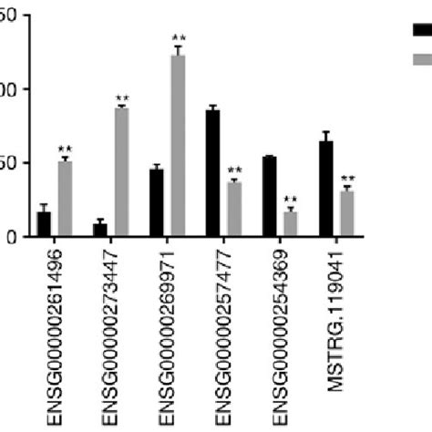 Validation Of Rna Sequencing Results By Rt Qpcr The Data Are Expressed Download Scientific