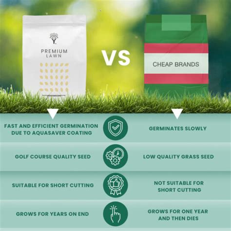 Premium Lawn Grass Seed Moowy