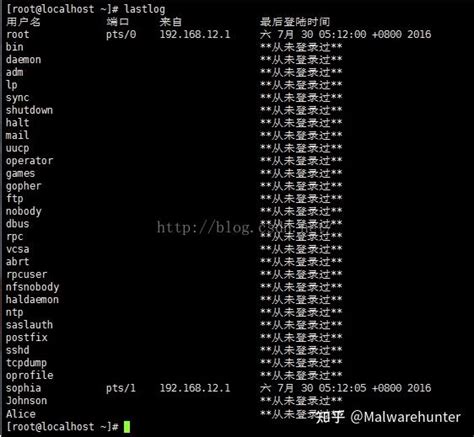 Linux取证命令备忘单 知乎