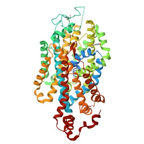 RCSB PDB 8HFF Cryo EM Structure Of Human Norepinephrine Transporter