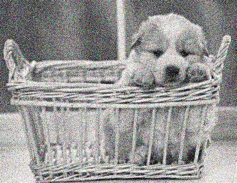 Image Processing Using Matlab Image Deblurring And Hough Transform