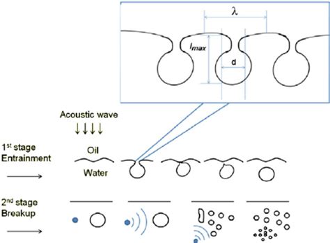 Cartoon Showing Origins Of Polydispersity During Acoustic Download