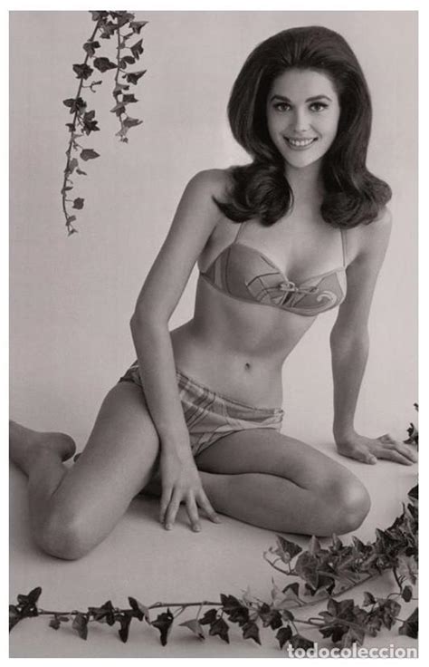 Sexy Linda Harrison Actress Pin Up Photo Postca Comprar Fotos Y