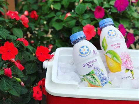 Blossom Water • Famous Food Festival