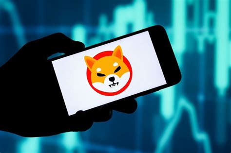 Finance Experts Set Shiba Inu SHIB Price For 2025
