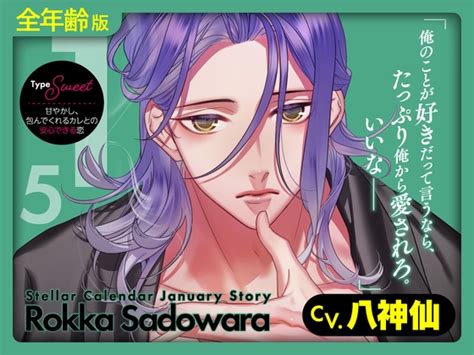 【簡体中文版】【全年齢版】stellar Calendarステカレ～january Story～【cv八神仙】 みんなで翻訳
