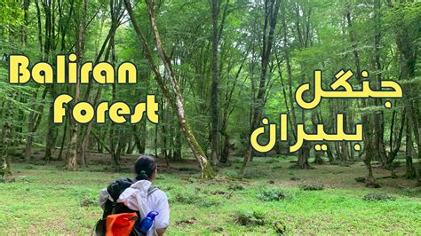 🪵ولاگ جنگل بلیران آب گرم و آب سرد کنار هم Baliran Forest Vlog ♨️