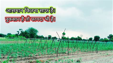 किसानो के चेहरो पर खुशी छा गई। 🌎 राजस्थान में फिर से बारीश का मौसम।srv