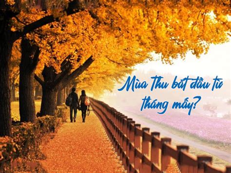 Mùa Thu Bắt đầu Từ Tháng Mấy Đặc điểm Thời Tiết Mùa Thu