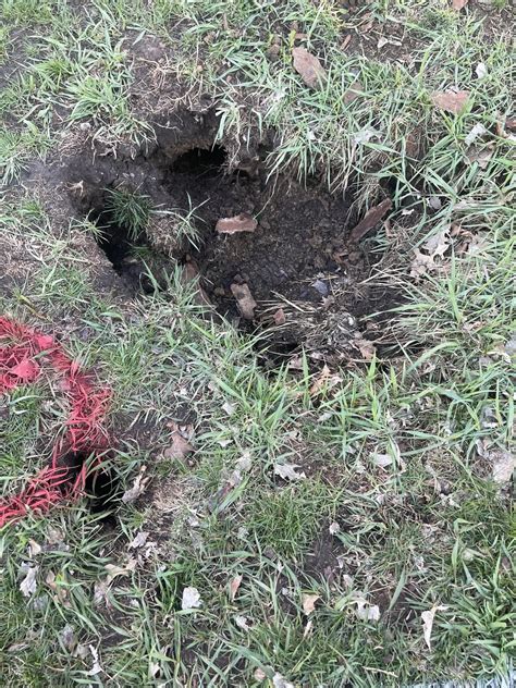 Sink Hole Insight Appreciated Rlandscaping