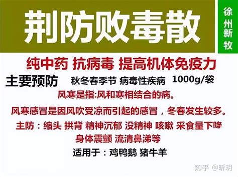 鸡感冒和流感的区别？肉鸡咳嗽怎么办？鸡感冒咳嗽用什么？鸡干咳什么原因引起的？鸡咳嗽打什么针好得快 知乎
