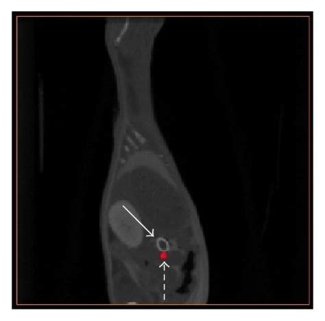 The Reconstructed Results With Coarse Mesh A B C Double Mesh D Download Scientific
