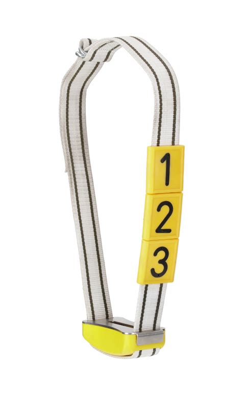 Rfid Goat Identification