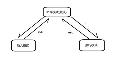 Linux编辑器——vim的使用linux Vi Shift Gg Csdn博客