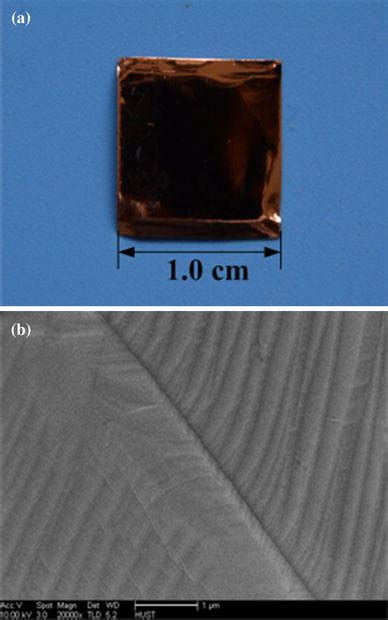 A Synthesized Graphenecopper Foil B Sem Image Of Part Enlargement Of