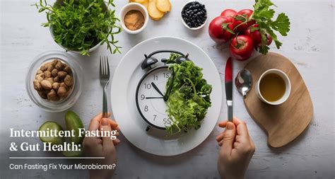 Intermittent Fasting And Gut Health Can Fasting Fix Your Microbiome
