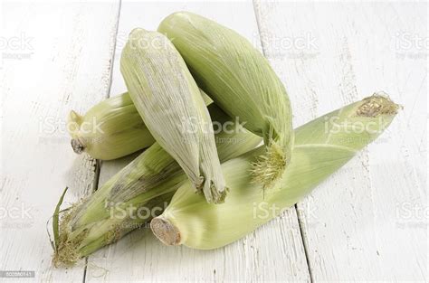 갓 채집한 옥수수 Cobs 부엌 테이블에 있는 0명에 대한 스톡 사진 및 기타 이미지 0명 건강한 식생활 깨끗한 Istock