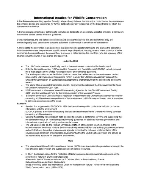 International Conventions Pdf