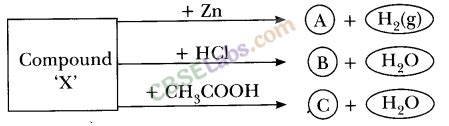 NCERT Exemplar Class Science Chapter Acids Bases And Salts Bhavy Education