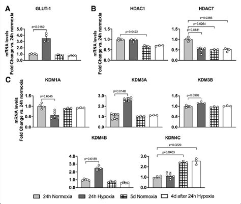 Gene Expression In Mouse Bone Marrow Derived Monocytes Bmmono Exposed