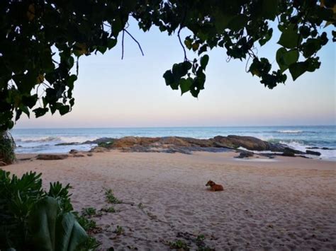 Notre Top 10 Des Plus Belles Plages Du Sri Lanka
