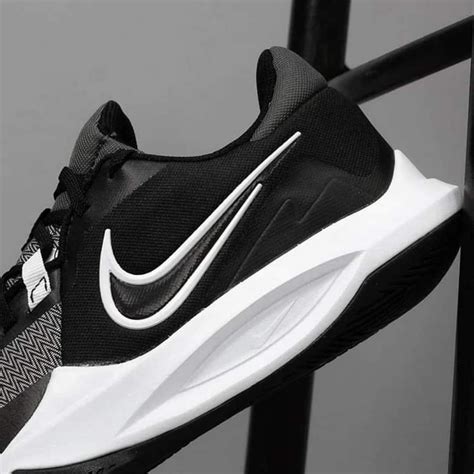 Bash Kicks Quezon City