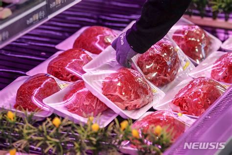 송아지값 하락에도 누적 한·육우 사육 증가…육계·오리는 감소