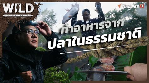 ทำอาหารจากปลาในธรรมชาติ Wild Survival ซีซัน 2 Youtube