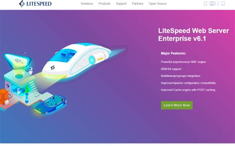Apache Vs Nginx Vs LiteSpeed Unraveling The Differences 2025 Hostever
