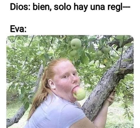 Yo Tratando De Entender La Relación Entre La Frase Motivadora Y La Foto