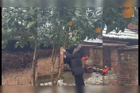 “这社死来的太突然了”