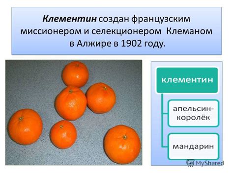 Презентация на тему Гибридизация цитрусовых Сладкие лимоны и кислые