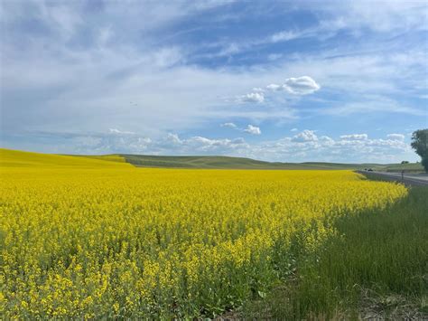 Jaide Wilhelm Phr On Linkedin I Truly Enjoy My 20 Minute Commute