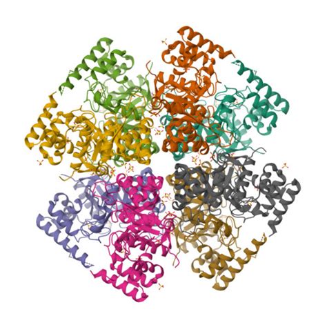 Rcsb Pdb 7utf Structure Function Characterization Of An Aldo Keto