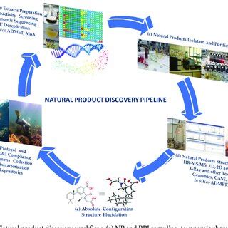 Natural Product Discovery Workflow A NP And RRI Sampling Taxonomic