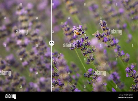 low quality image before and after software enhancement simulation of