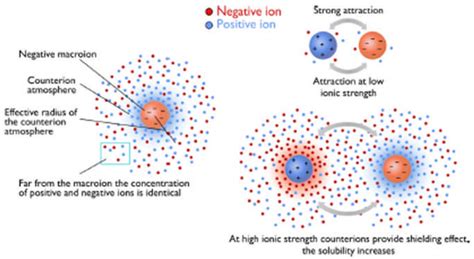 Schematic Illustration Of Counter Ion Role On Altering Ionic Strength