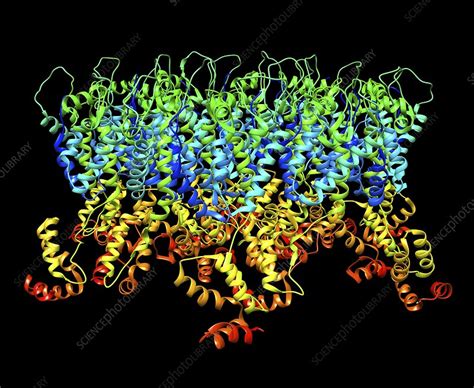 Hiv 1 Capsid In Intact Virus Particle Stock Image C026 2439 Science Photo Library
