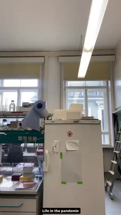 Muhammad Ashfaq Khan On Linkedin Life In The Current Pandemic