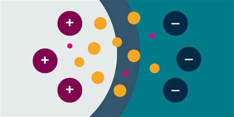 Advancing Aggregate Control In Monoclonal Antibody Production RT MALS BioPhorum