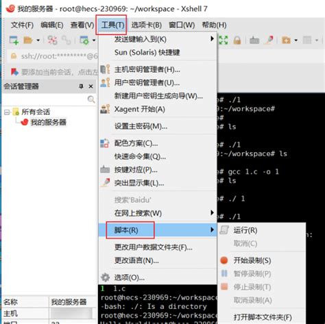Xshell怎么编写代码 Xshell怎么编写脚本 Xshell中文网