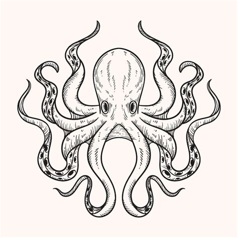 Hand Getekende Octopus Tekening Illustratie Gratis Vector