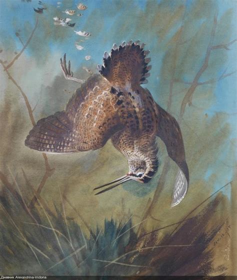 Archibald Thorburn