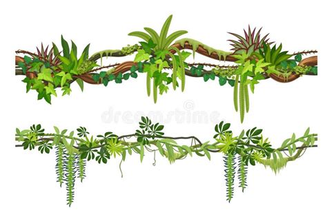 Tropical Jungle Forest Liana Branch With Roots Stock Illustration