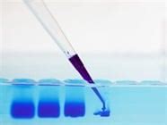 SDS PAGE Loading Buffers Biocompare