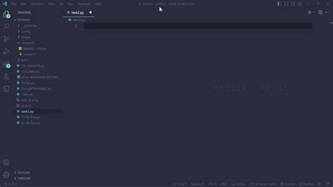 [video] maulik raval on linkedin internpe python connections