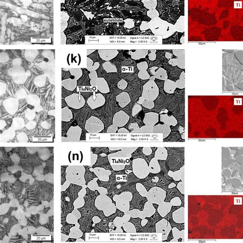 Optical Micrographs A D G J And M Scanning Electron Micrographs