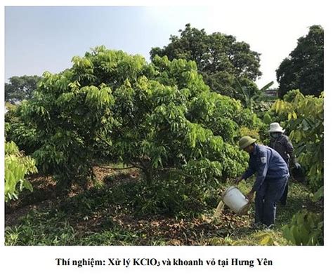 Nghiên cứu các giải pháp khoa học và công nghệ nâng cao năng suất chất