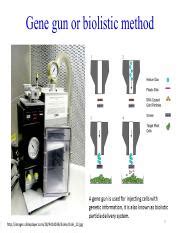 ML11 12 Gene Silencing Pdf Gene Gun Or Biolistic Method Images Slideplayer 28
