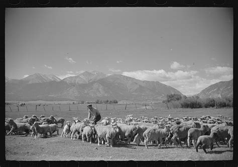 Elmo Images Free Photos Png Stickers Wallpapers And Backgrounds Rawpixel